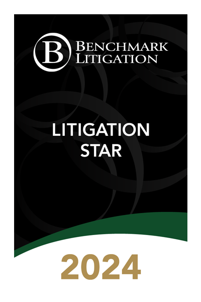 International Trade Lawyer - David Ring