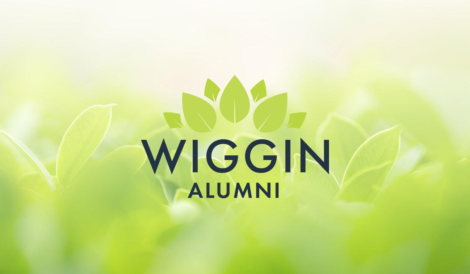 Home - Wiggin and Dana LLP — Attorneys At Law